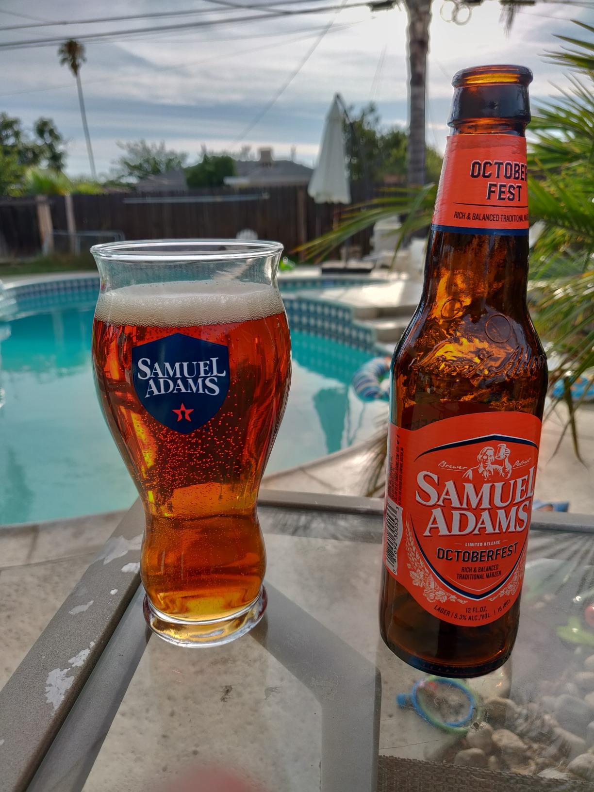 Amazon.com | Samuel Adams Perfect Pint Glass | Set of 2 Glasses: Beer ...