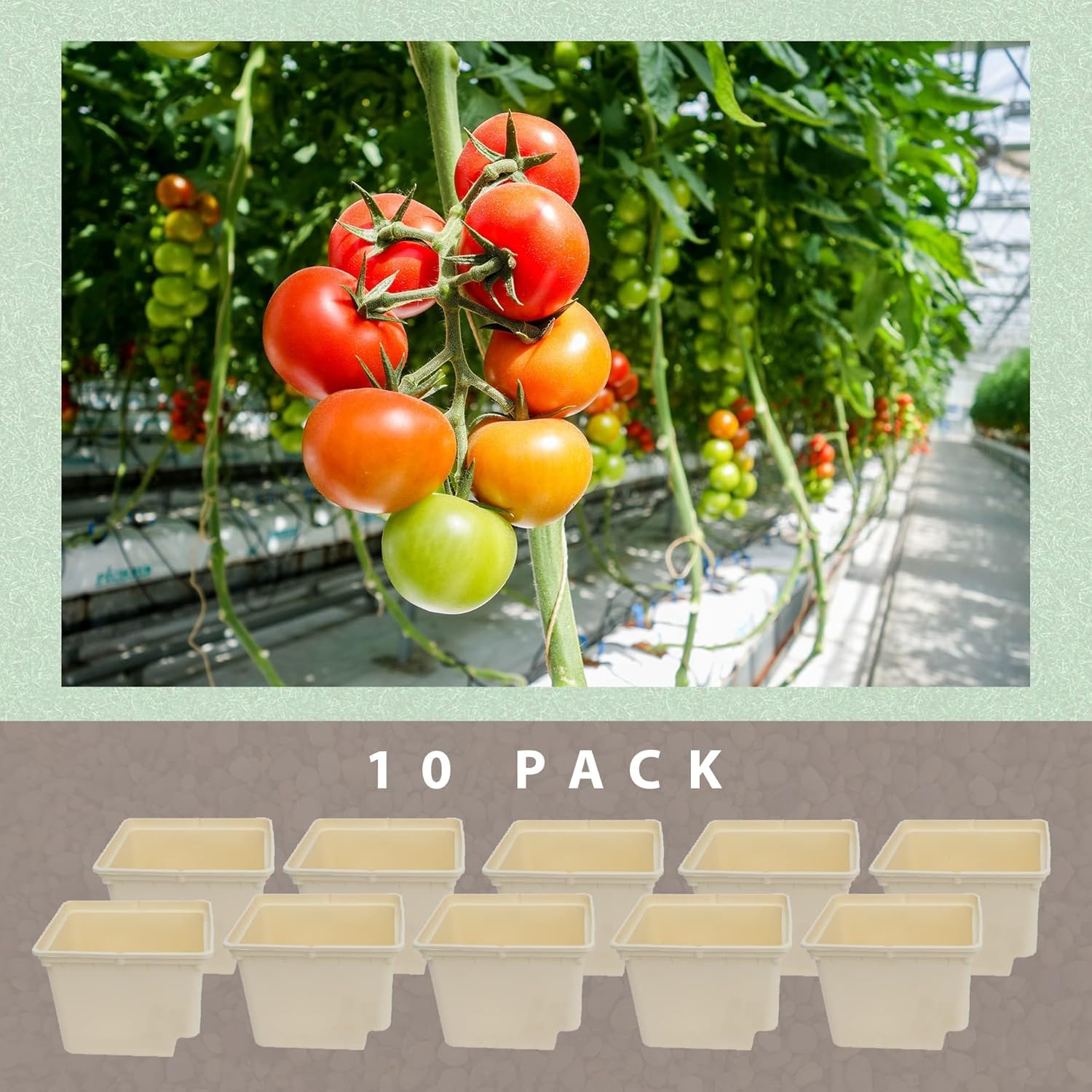 11 Liter Grow Buckets 10-Pack Dutch Bucket Hydroponic System – Bato ...