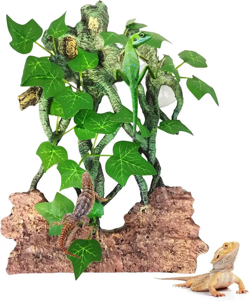 The Science Behind Geckos' Amazing Feet: How Do They Stick To Walls ...