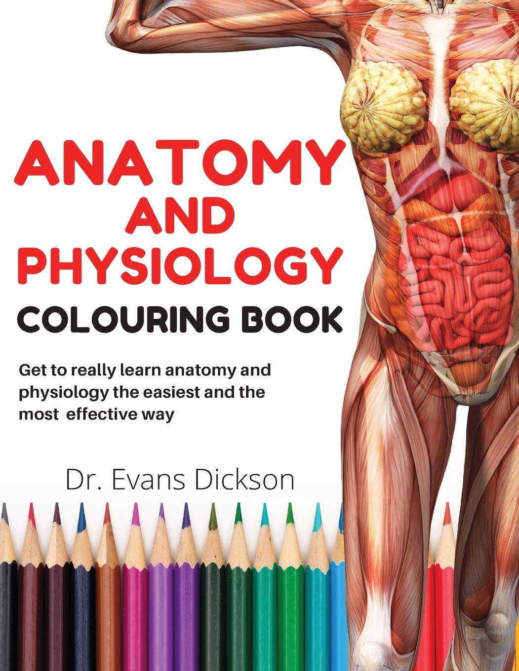 Buy Anatomy and physiology colouring book: Get to really learn anatomy ...