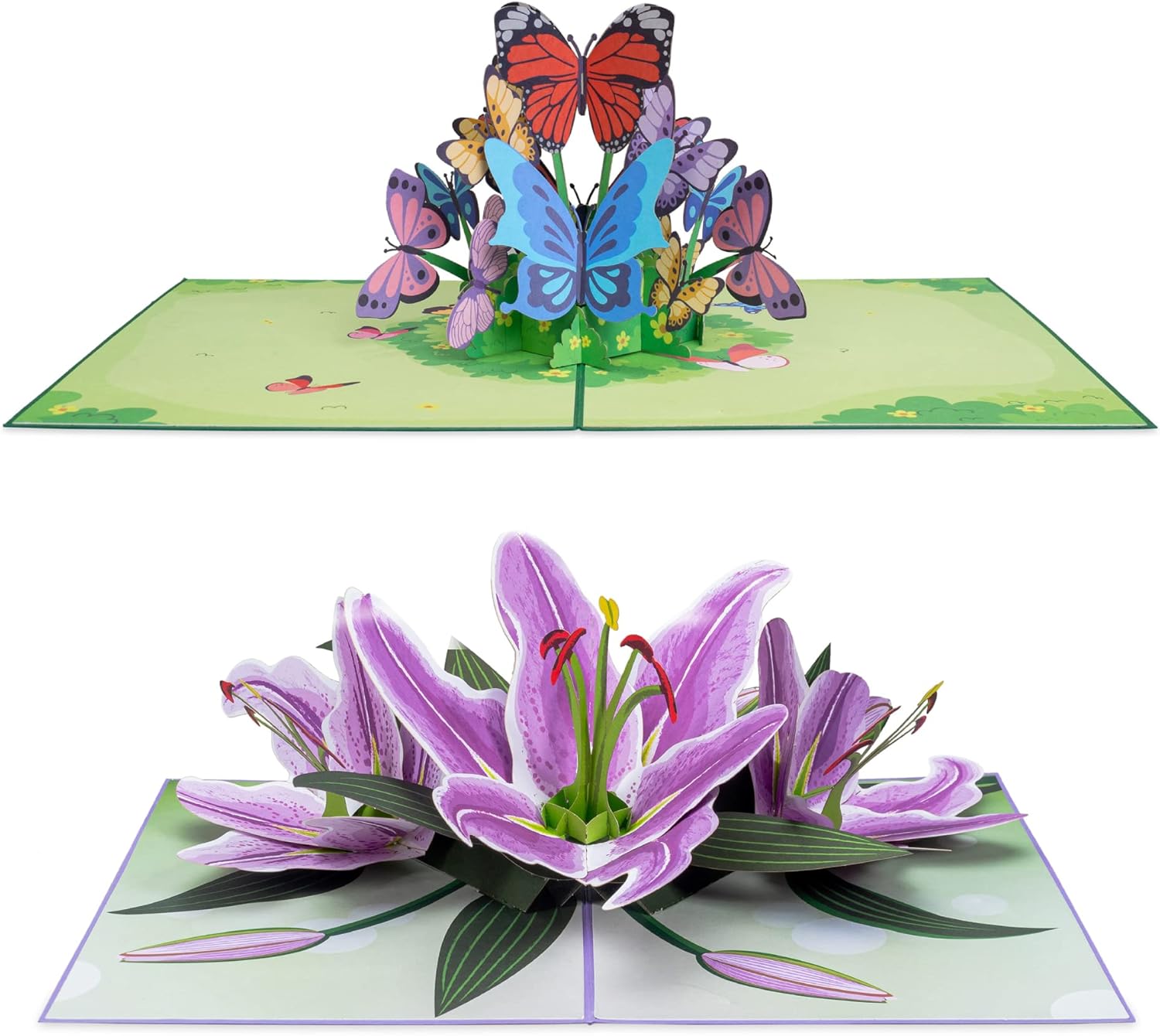 Amazon.com : Paper Love Pop Up Cards 2 Pack - Includes 1 Butterflies and 1 Purplies Lilies, For ...
