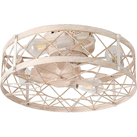 Amazon.com: Bella Depot 20'' Modern Brushed Nickel Caged Ceiling Fan ...