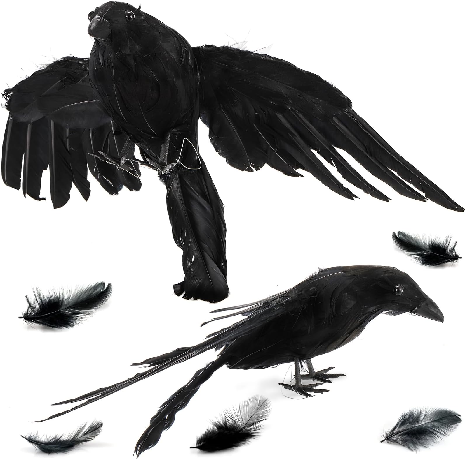 Amazon.com: Noamus 2-Pack Realistic Crows, Lifesize Handmade Feathered ...