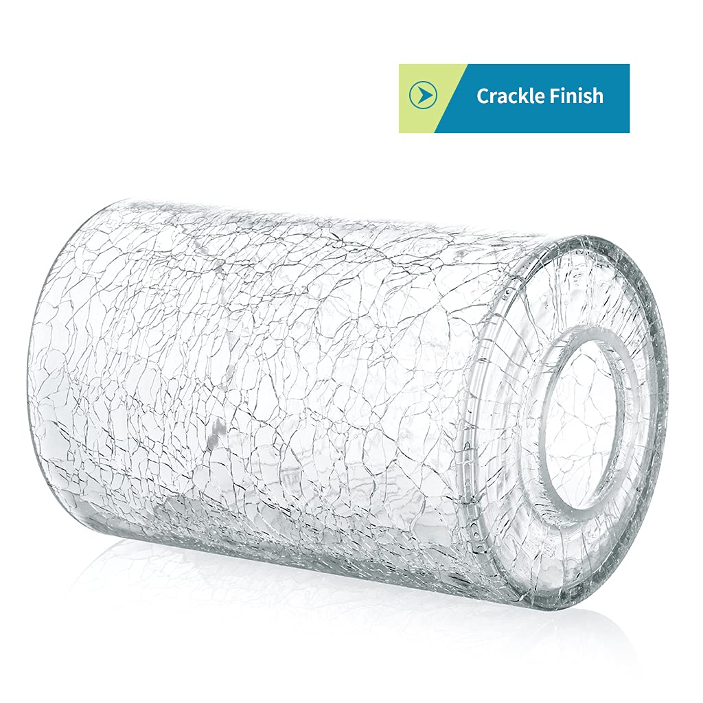 Snapklik.com : Skelang Clear Glass Shade, Light Shade