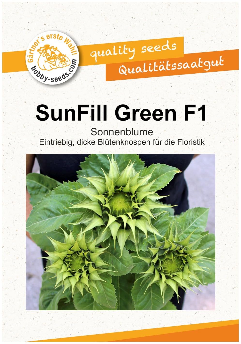 Blumensamen SunFill Green F1 Sonnenblume Portion : Amazon.de: Garten