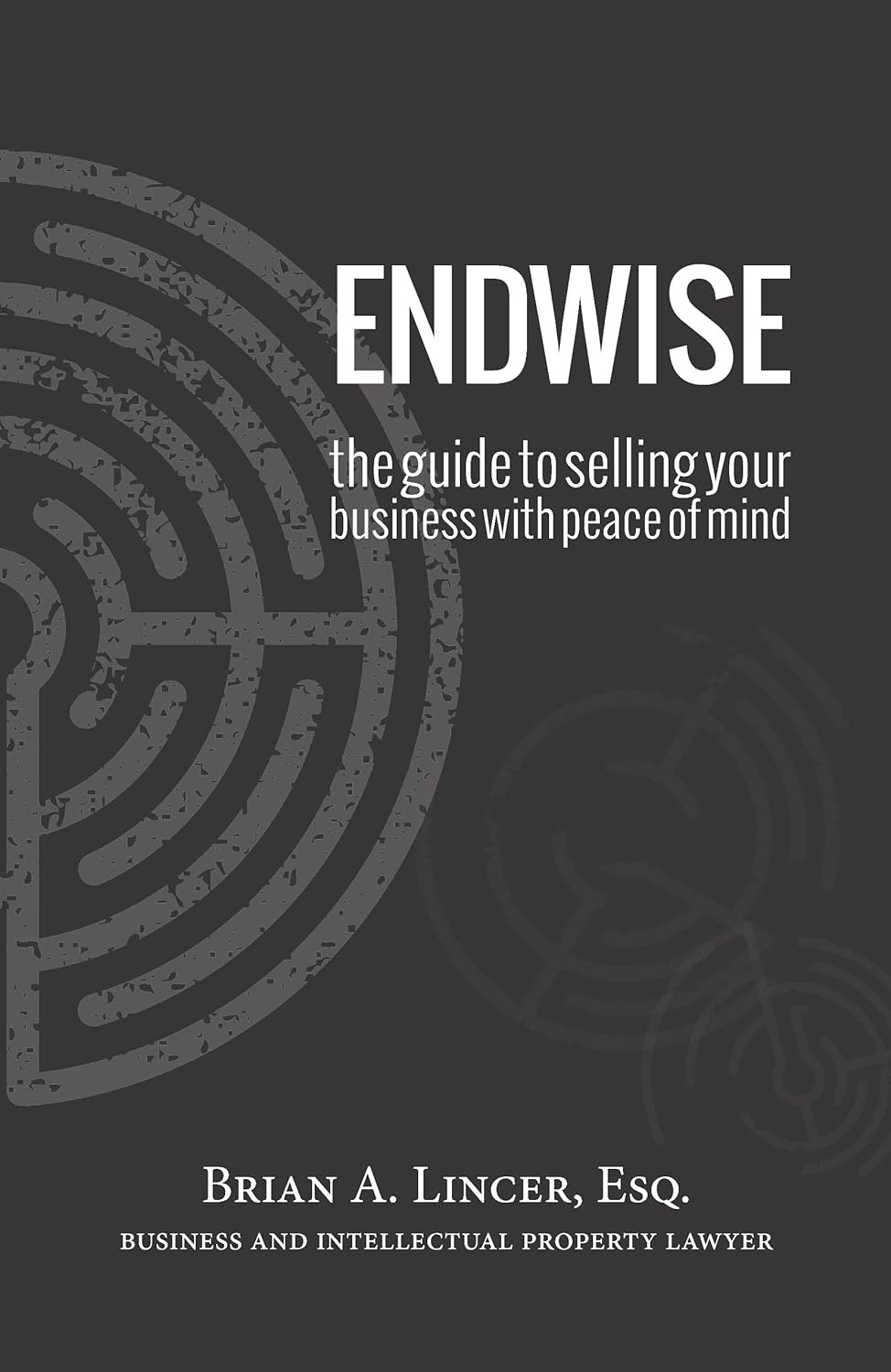 Endwise: Brian A Lincer: 9781595719591: Amazon.com: Books