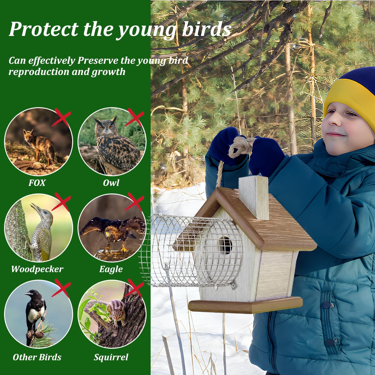 Snake Predator Guard Bluebird House