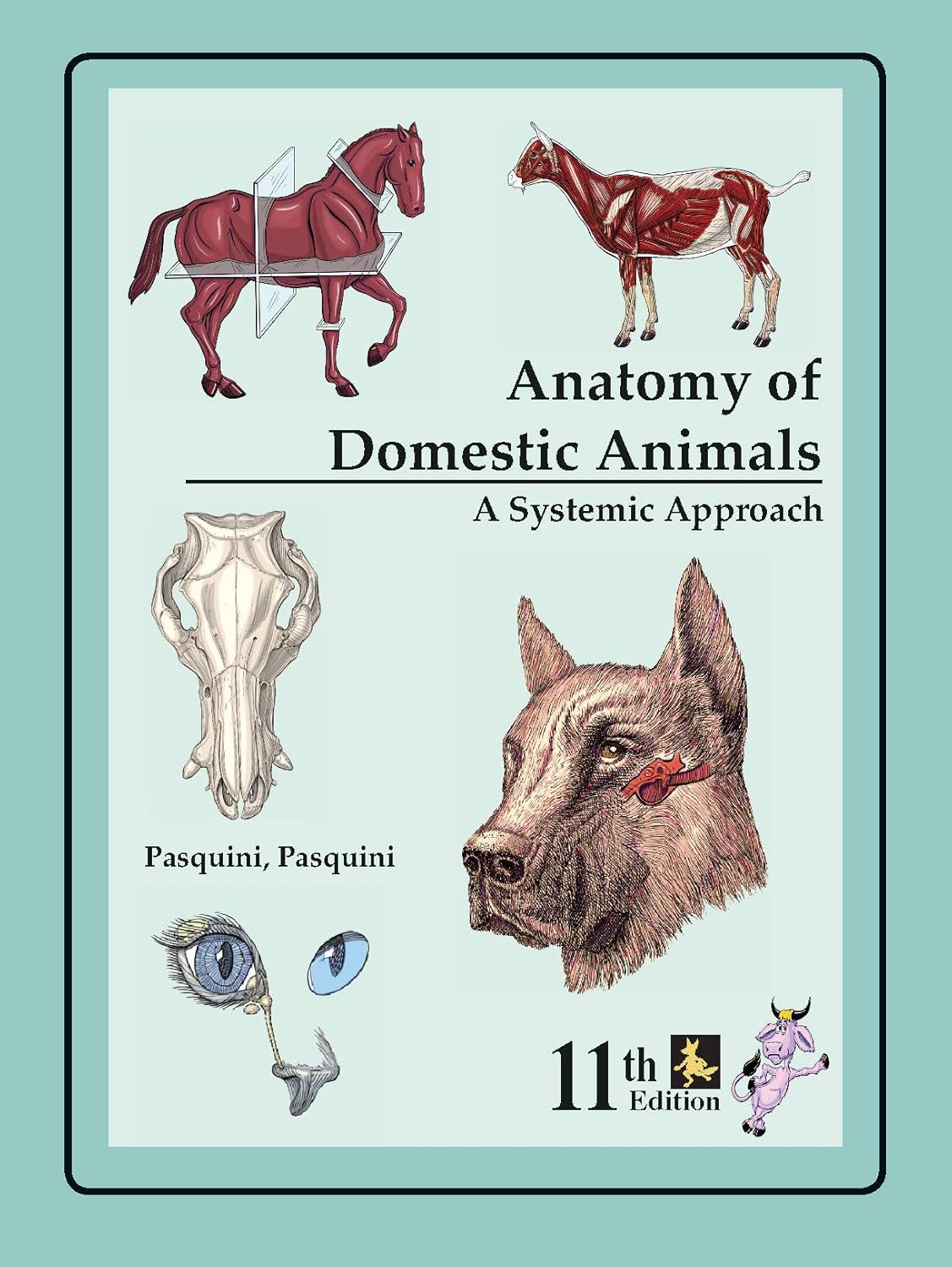 Anatomy of Domestic Animals: Systemic & Regional Approach: Pasquini ...