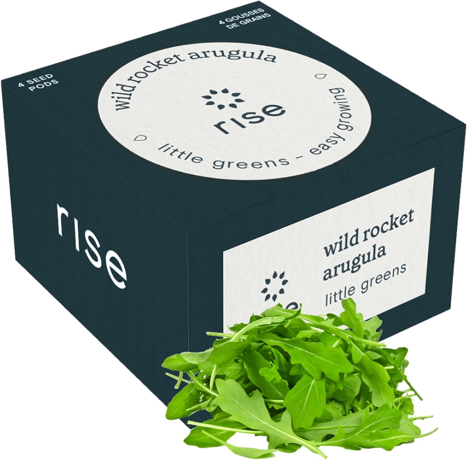 Amazon.com : Rise Gardens Wild Rocket Arugula Seed Pod Kit, Vegetable ...