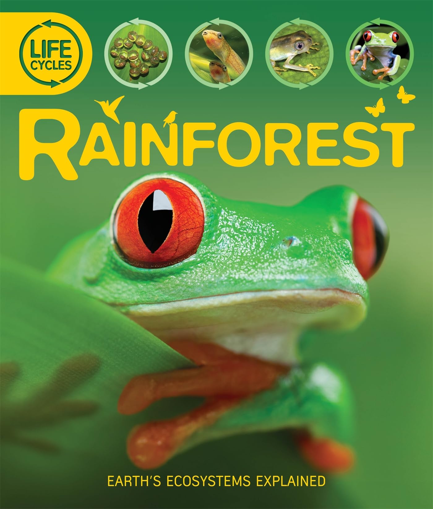 Life Cycles: Rainforest (Life Cycles, 16): Amazon.co.uk: Callery, Sean ...