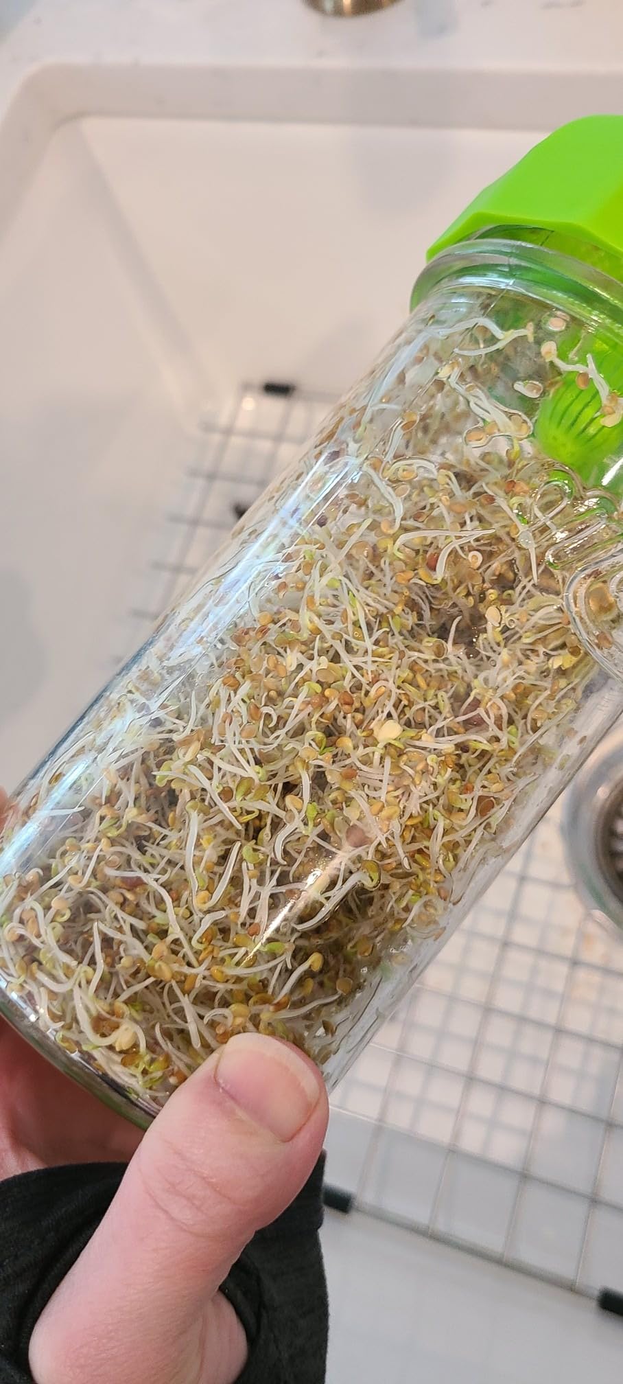 Masontops Mason Jar Bean Sprouting Starter Set - Easy DIY Bean Sprout ...