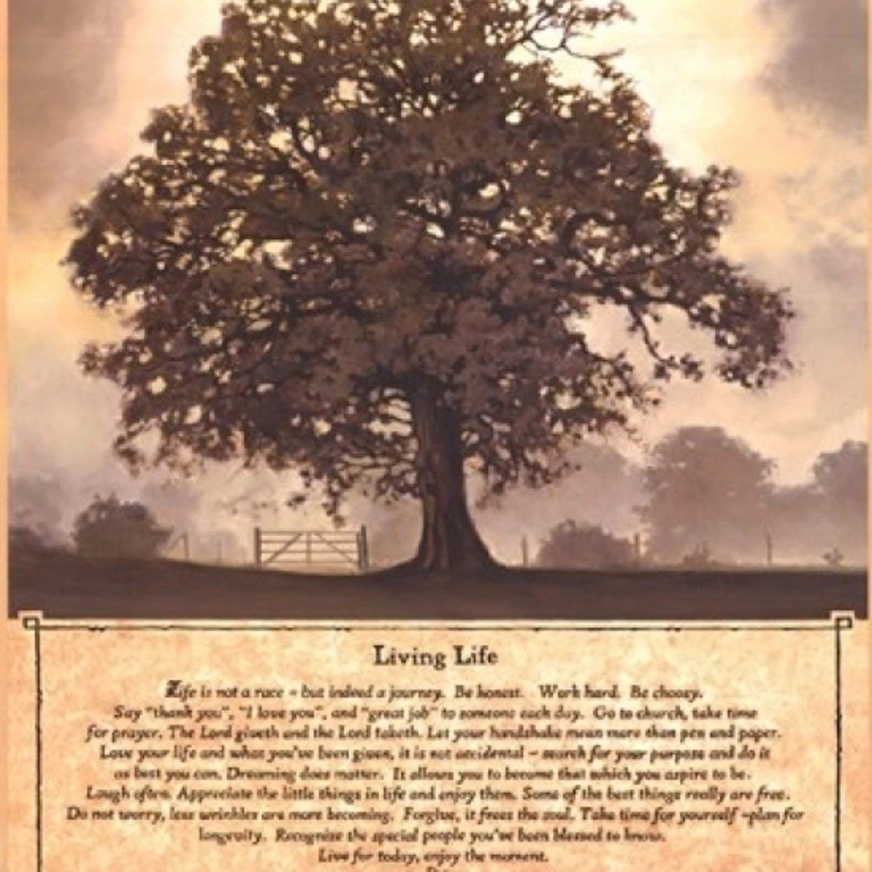 Amazon.com: Living Life - Poster by Bonnie Mohr (16 x 20): Prints ...