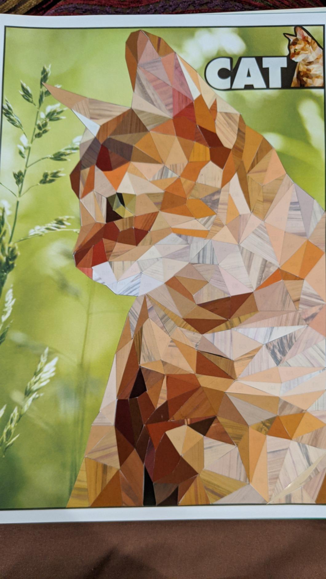 Amazon.com: Bendon 44093 Animals Advanced Color by Sticker Book ...