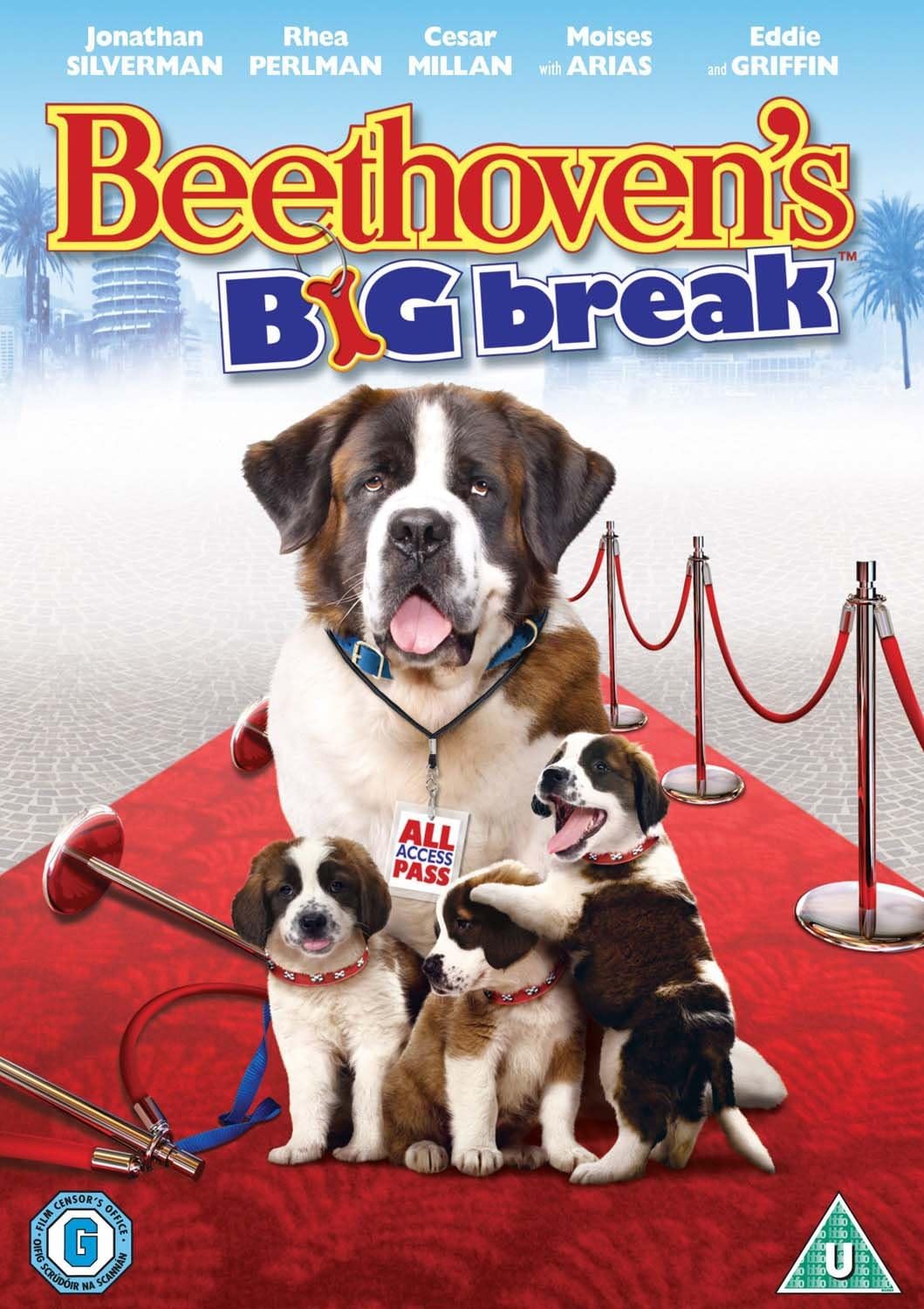 Beethoven's Big Break DVD : Amazon.com.tr