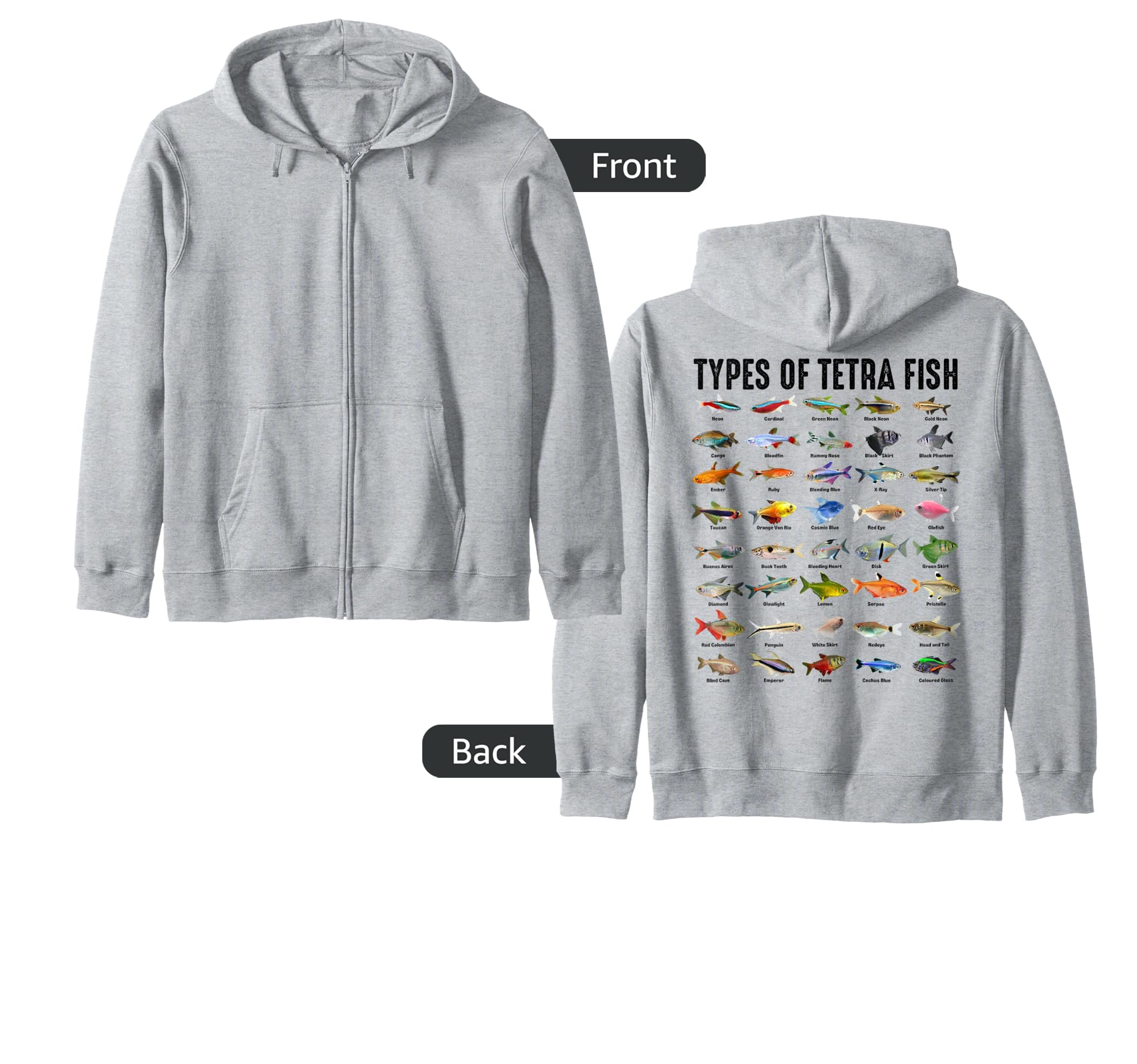 Amazon.com: Types of Tetra Fish - Tetras Aquarium Fish Species Lover ...