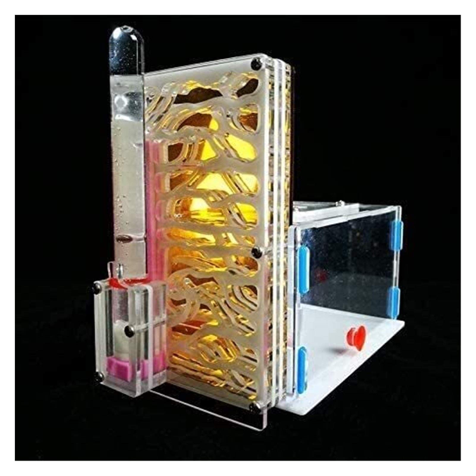 Buy Ants Farm Insect Cages Ant Nest Ant Housing Ants Villa House With ...