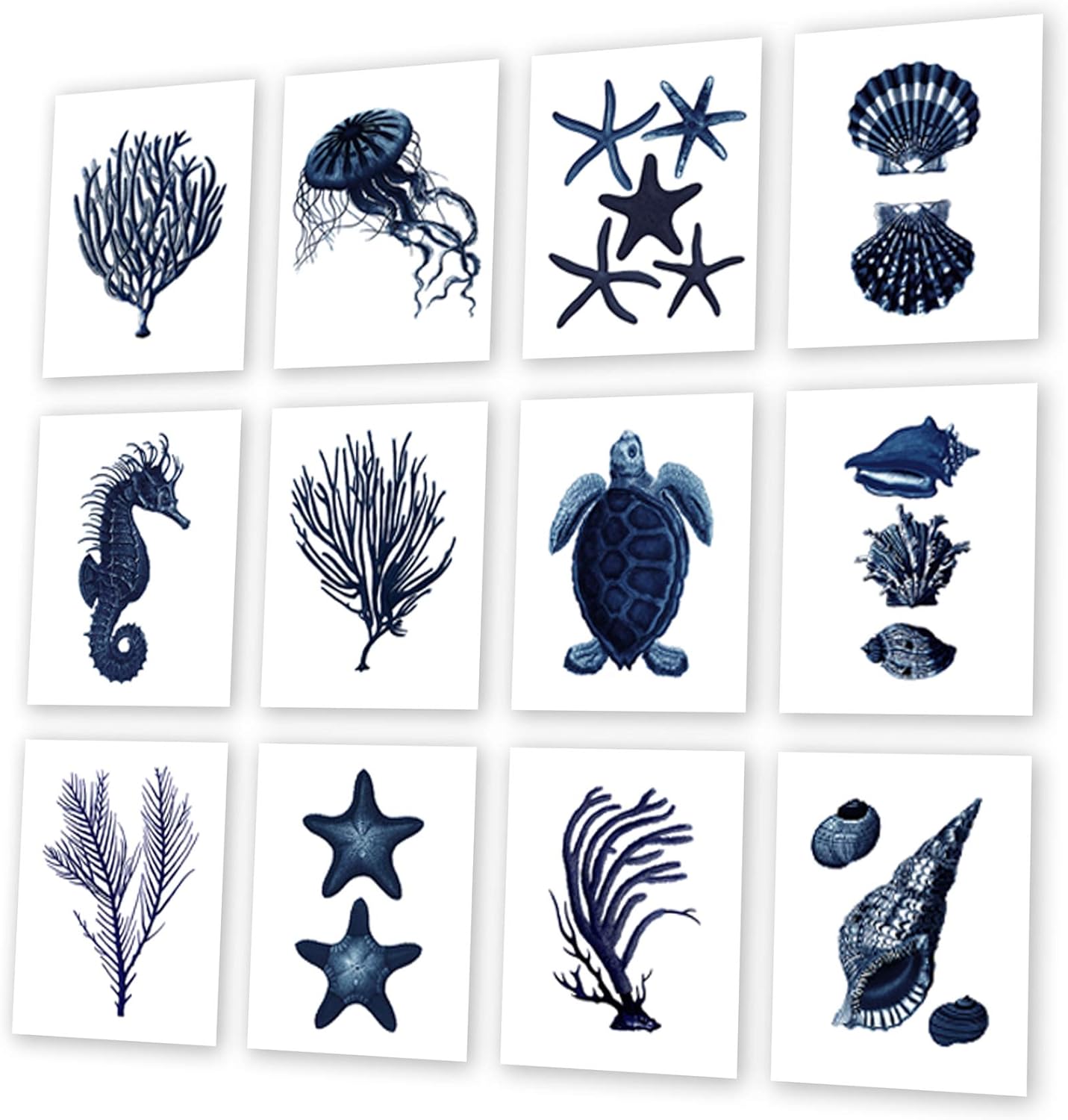 Amazon.com: Sea Coral Beach Decor Set of 12 Unframed Beach house ...