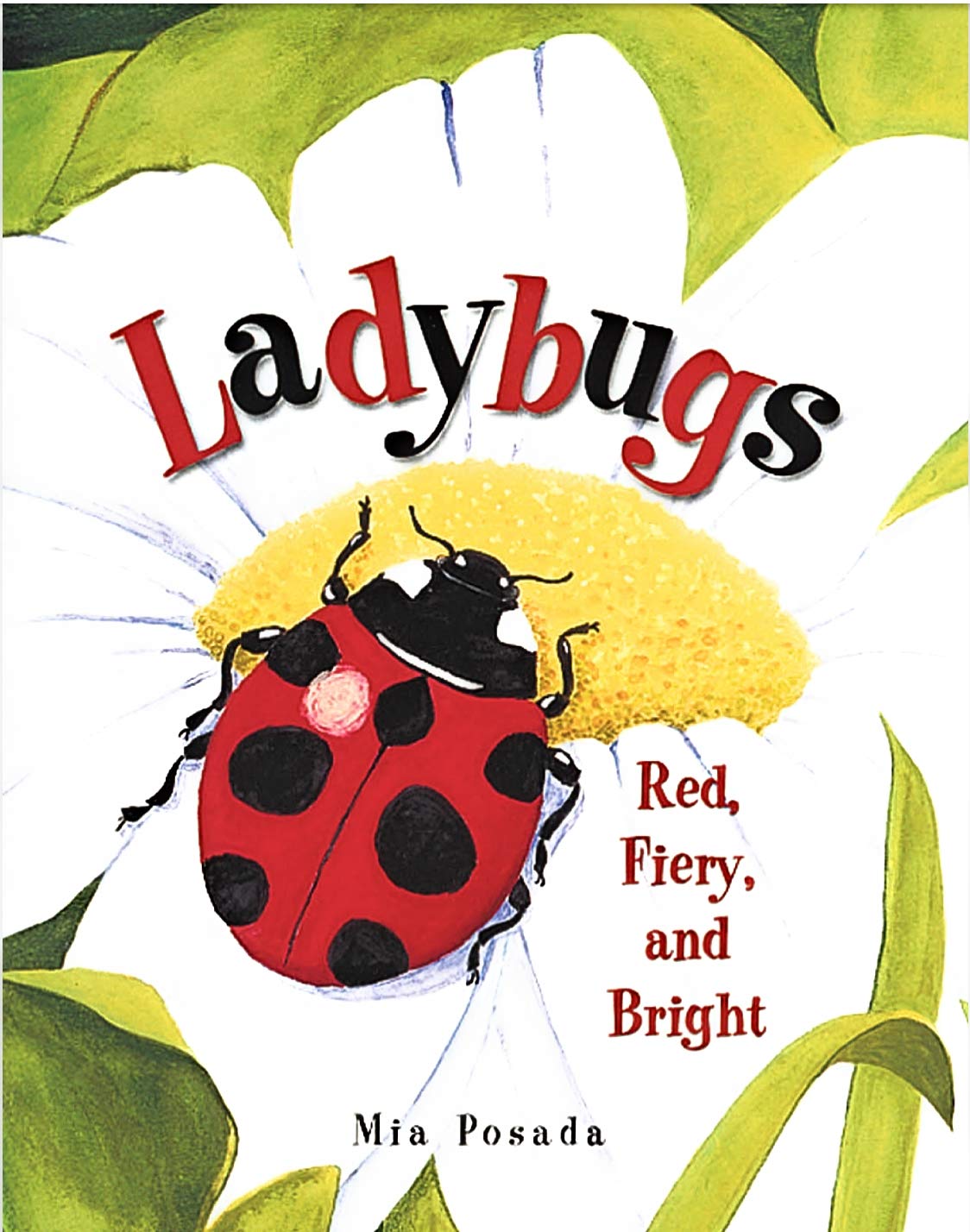 Ladybugs: Red, Fiery, and Bright: Mia Posada: 9780439664721: Amazon.com ...