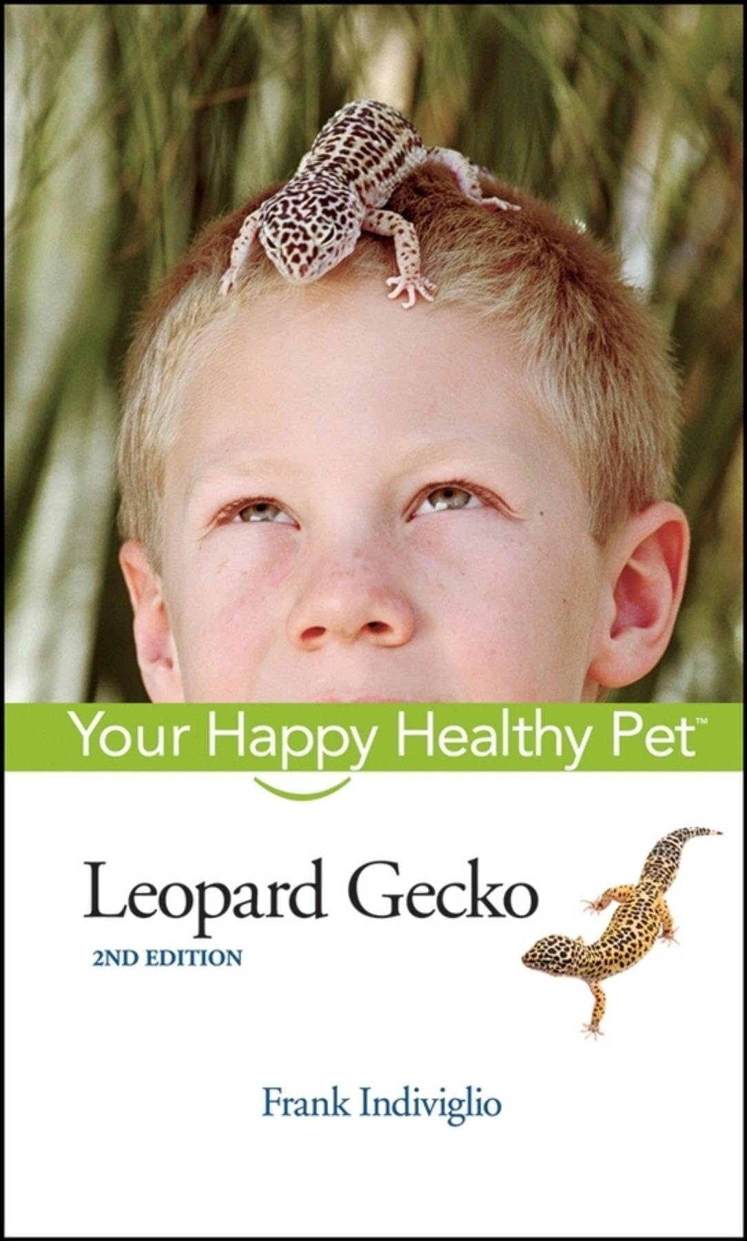 Leopard Gecko: Your Happy Healthy Pet (Your Happy Healthy Pet, 70 ...