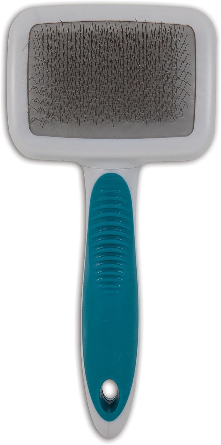 Amazon.com : Petmate Furbuster Cat 2-in-1 Slicker and Bristle Brush ...