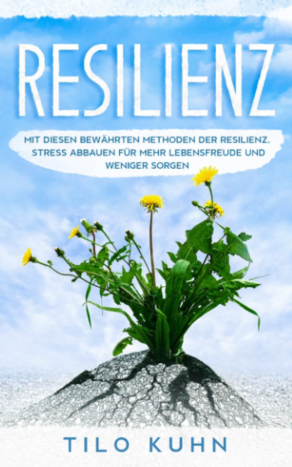 Resilienz Mit Diesen Bewahrten Methoden Der Resilienz Stress Abbauen ...