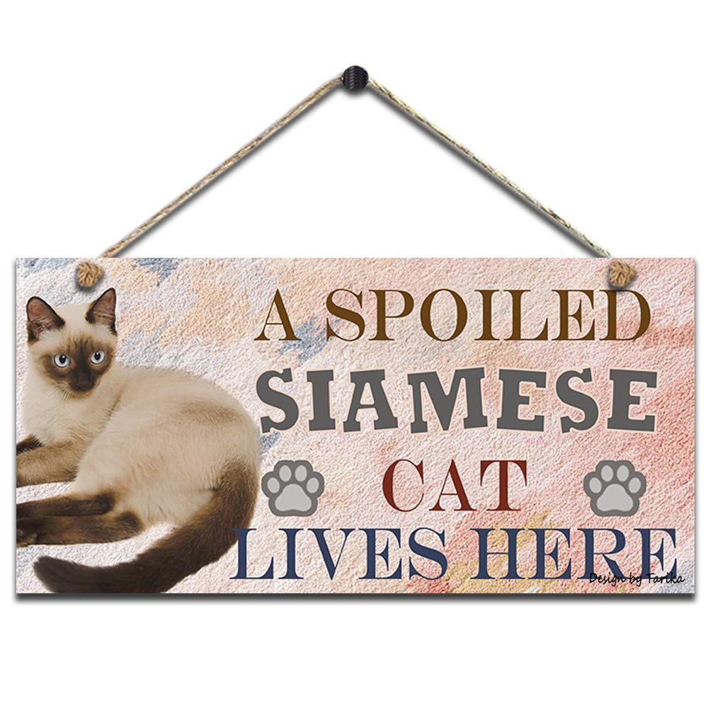 Signs Of A Spoiled Cat