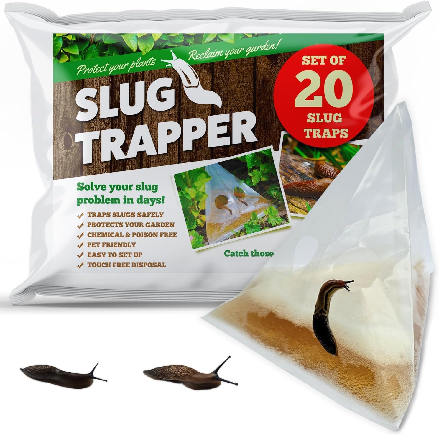 Slug Nematodes 30million (Treats 100sq.m) : Amazon.co.uk: Garden