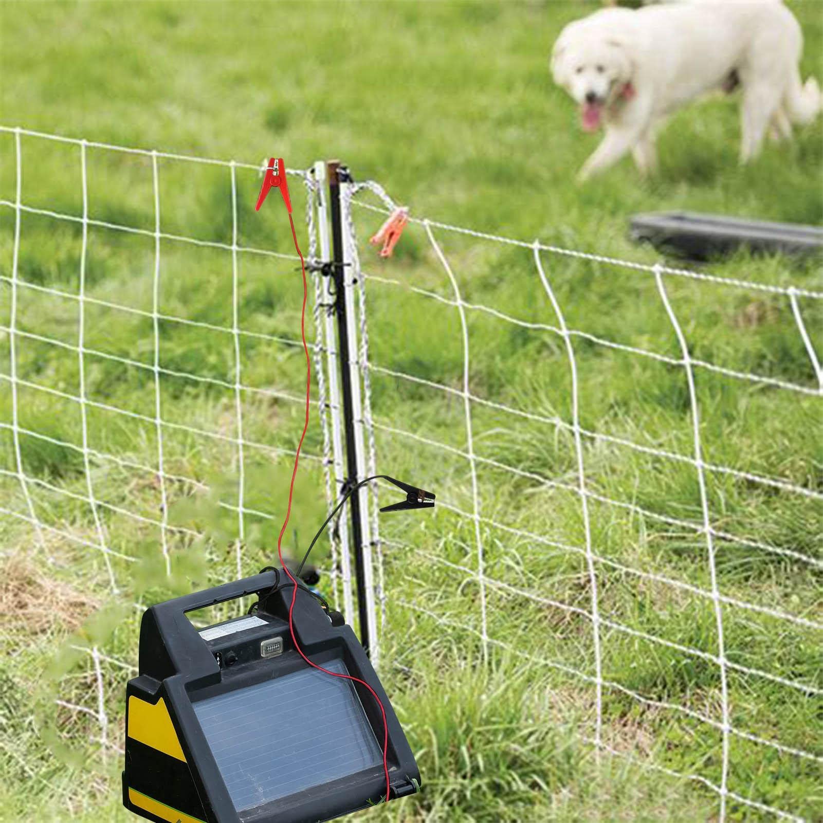 Vegetable Garden Electric Fence Mr. Moose Meets The Electric Fence