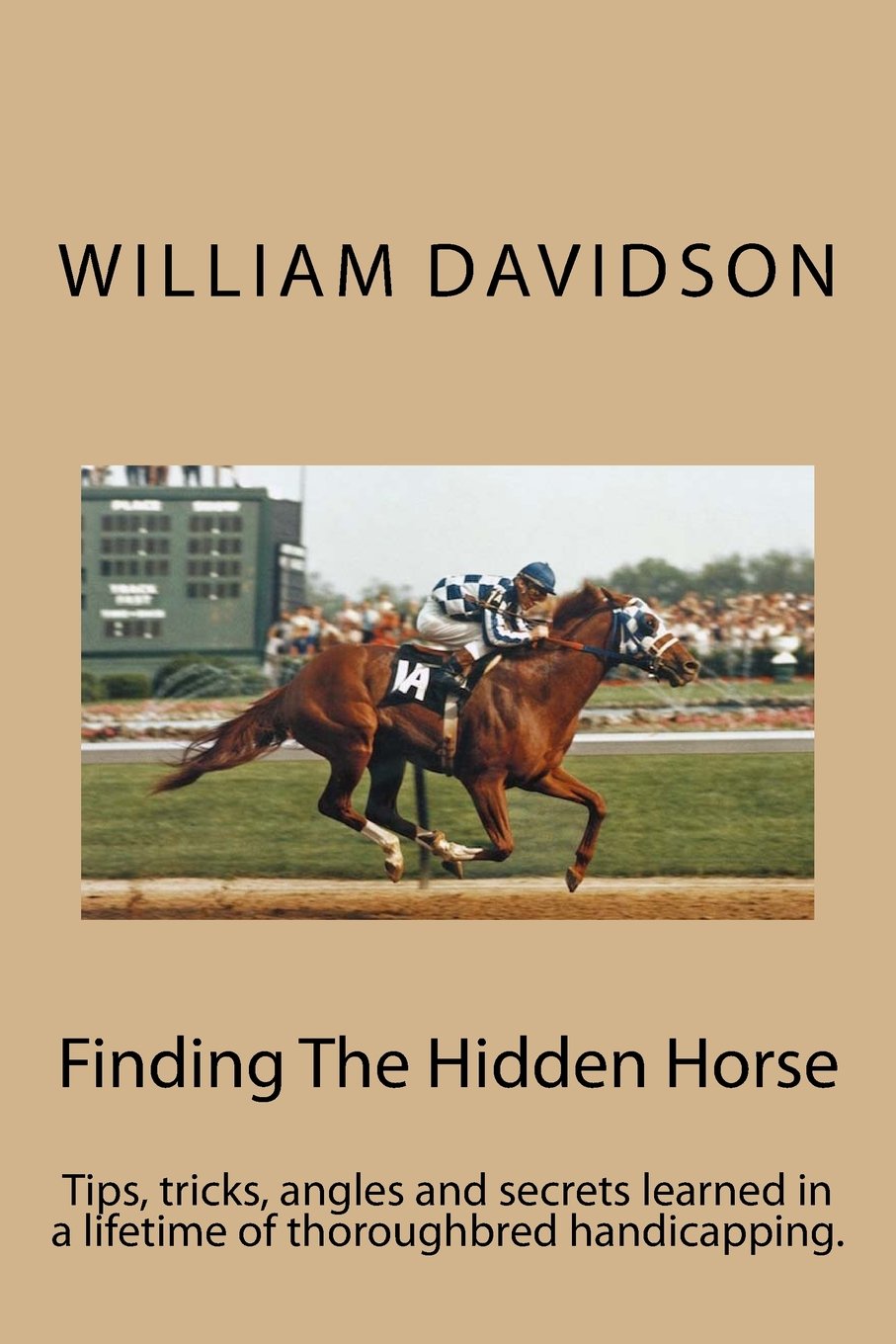 Finding The Hidden Horse: Uncle Will's Notebooks: Davidson, William A ...