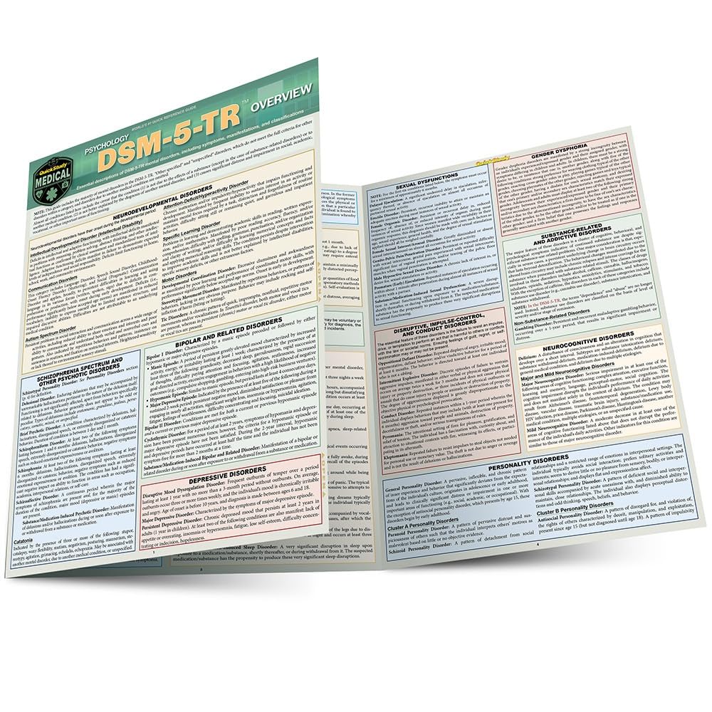 DSM-5-TR Overview: a QuickStudy Laminated Reference Guide: Bernstein ...