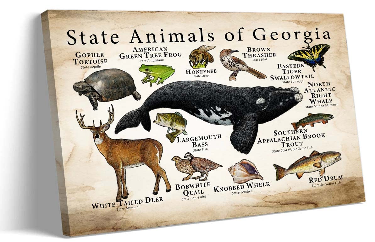 Georgia State Reptile