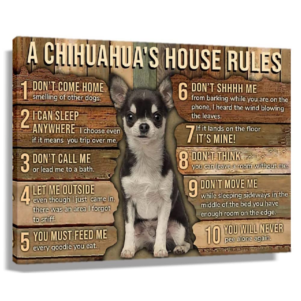 Why Is My Dog Smelling The Walls at Jerry Rounds blog