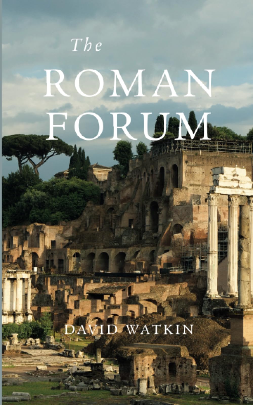 The Roman Forum (Wonders of the World): Watkin, David: 9780674066304 ...