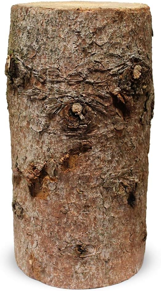 matches21 Holzstamm Fichte Dekoholz Echtholz Baumstamm Hocker ...