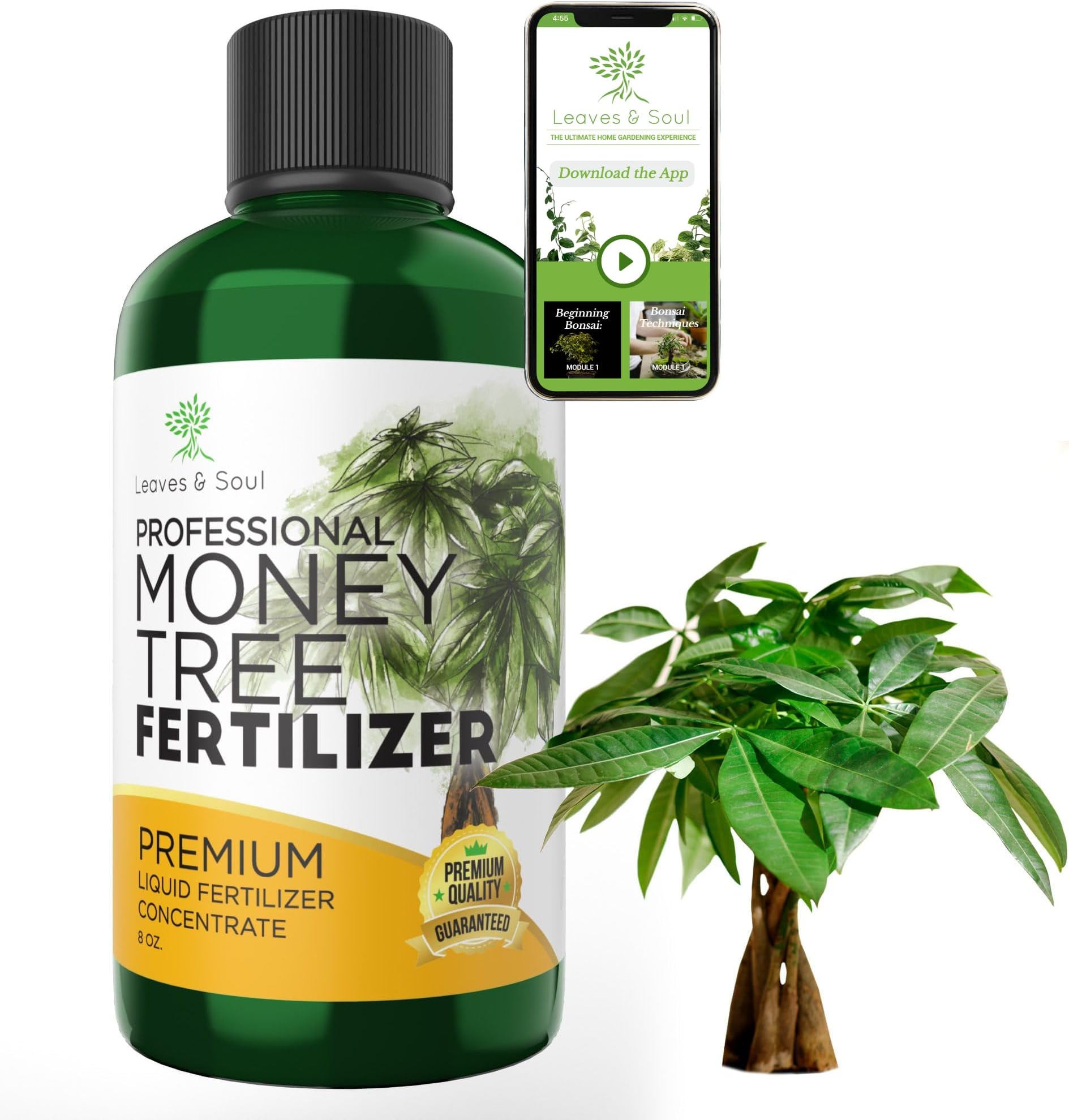 Amazon.com: Miracle-GRO 1001502 Liquid All Purpose Plant Food ...