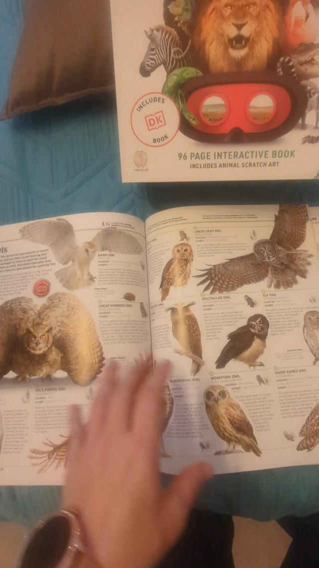 Watch Honest Review of Abacus Virtual Reality Animals on Amazon Live