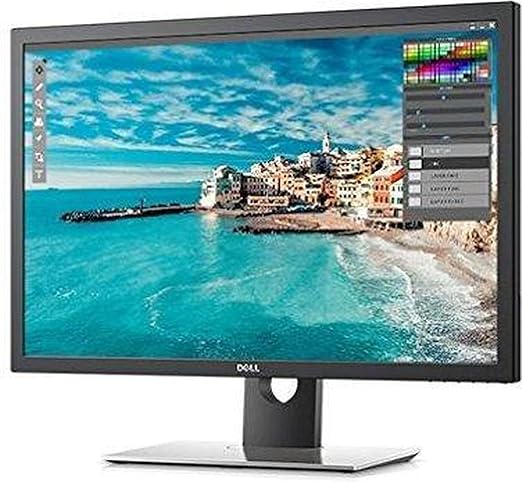 Amazon.com: Dell UP3017 73GTT 30-Inch Screen Led-Lit Monitor (Renewed ...