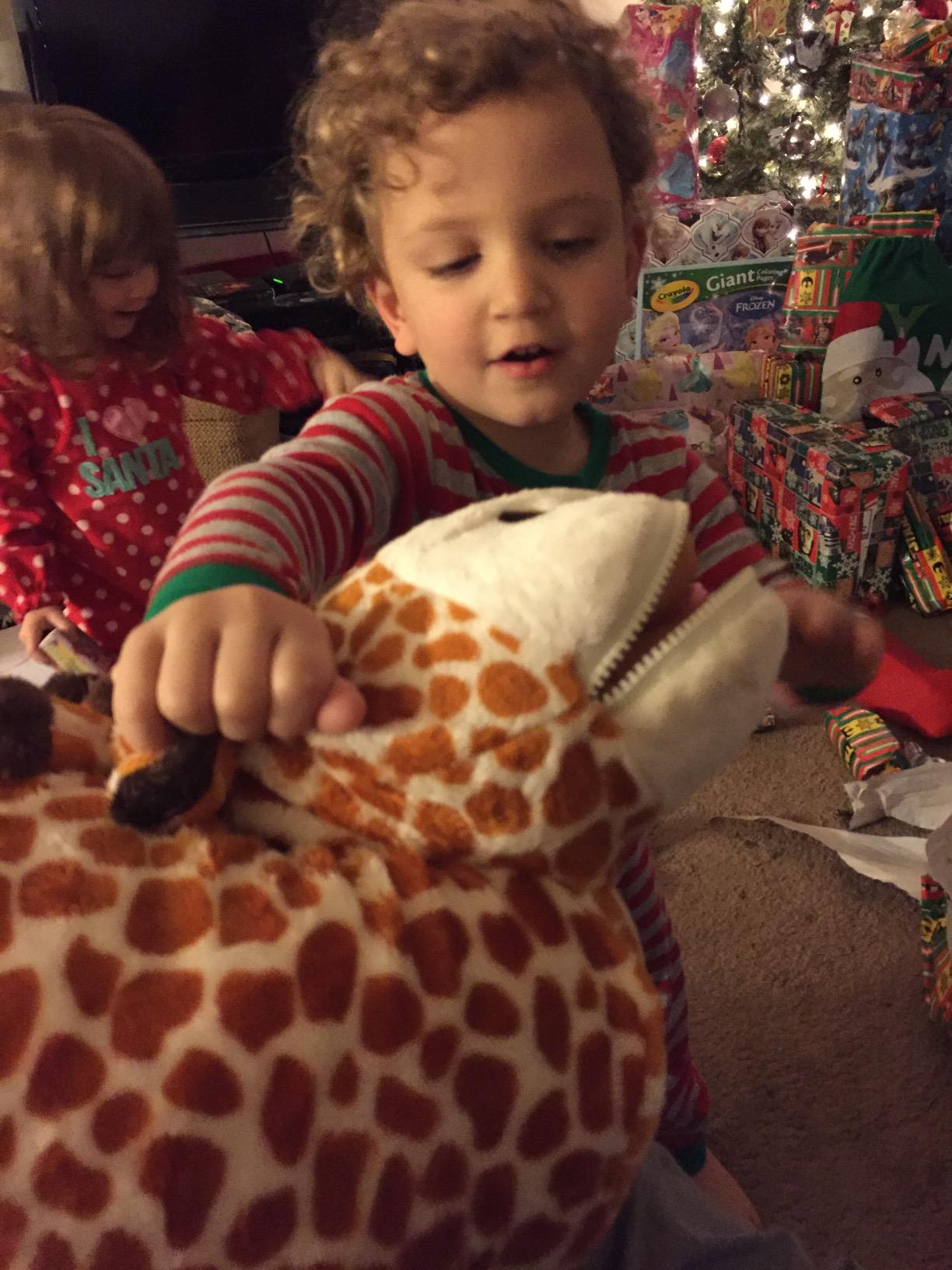 Amazon.com: Stuffies Sky the Giraffe : Toys & Games