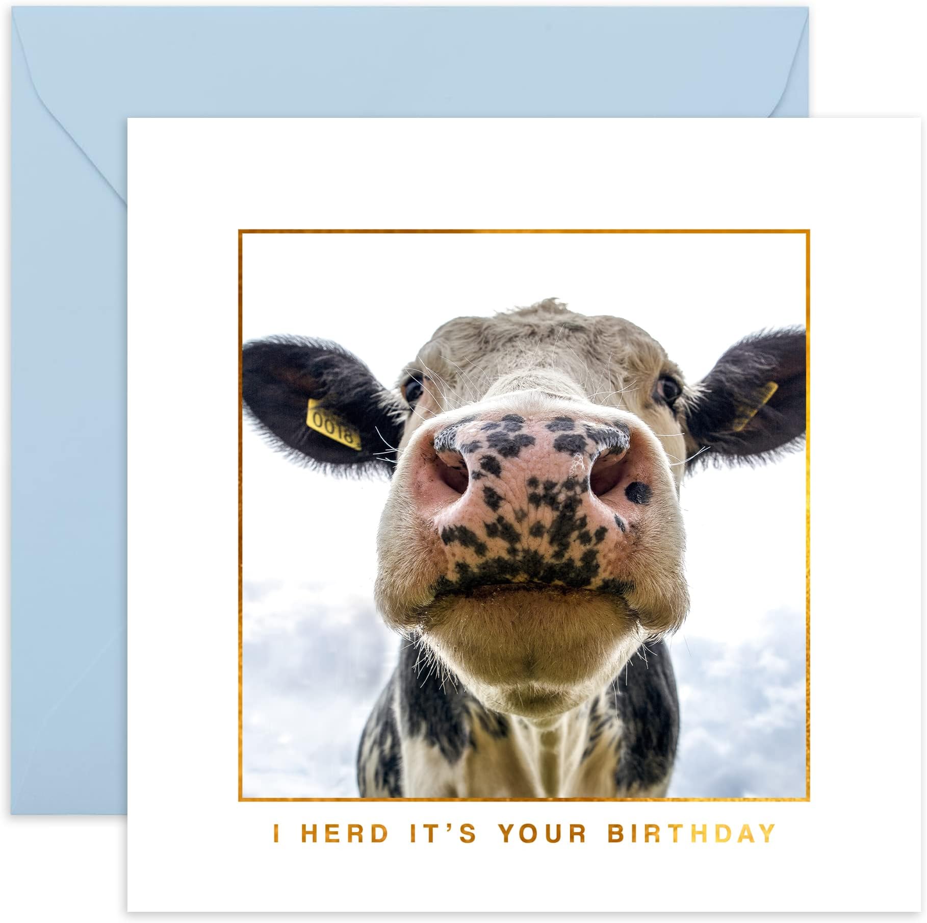 Amazon.com : Old English Co. Cute Cow Calf Birthday Card for Her - Fun ...