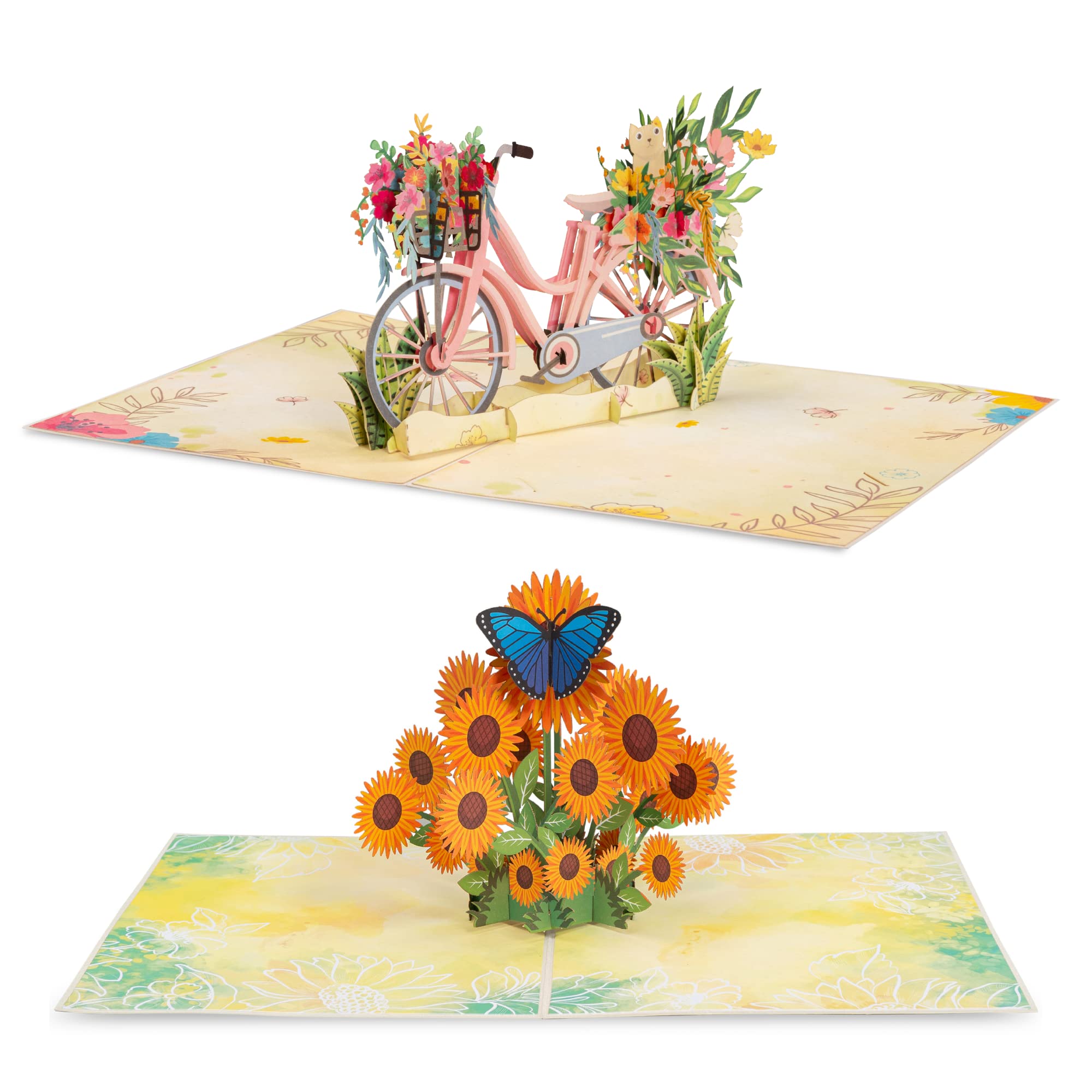 Amazon.com : Paper Love Pop Up Cards 2 Pack - Includes 1 Spring Flower Bike and 1 Sunflower, For ...