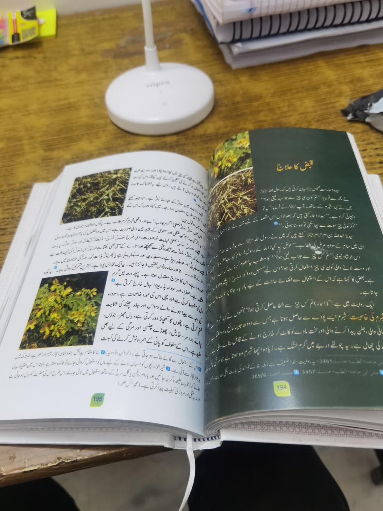 Buy Tib e Nabvi (Urdu) Book Online at Low Prices in India | Tib e Nabvi ...