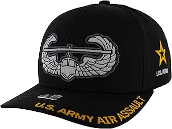 JM Warriors US Army Special Unit Branch Veteran Hat for Men, Officially ...