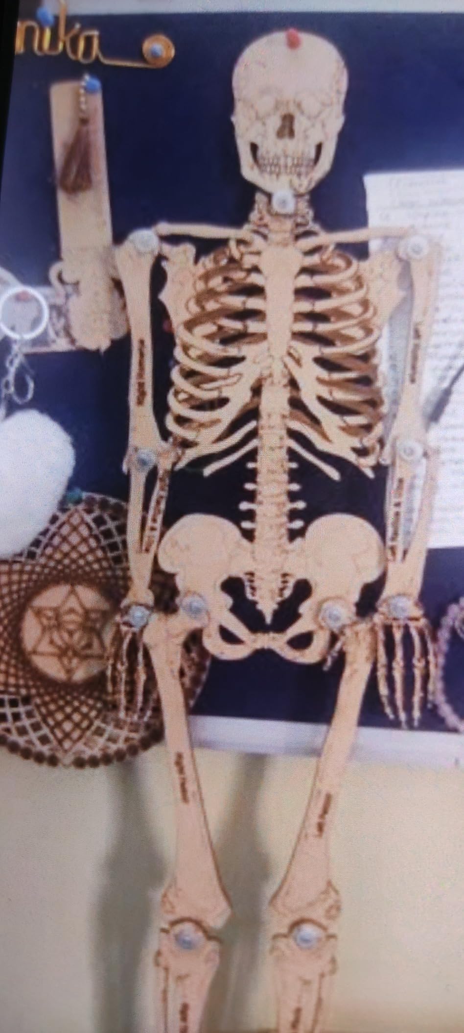 Buy StepsToDo DIY Wooden Human Skeleton Making Learning kit for ...