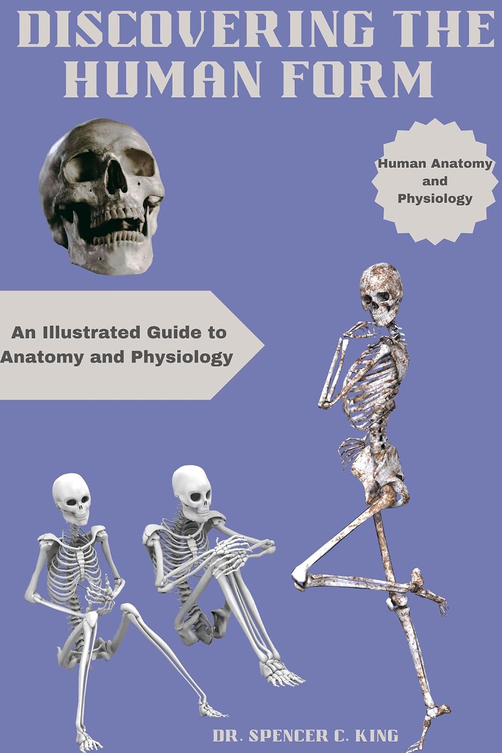 Amazon | Discovering the Human Form: An Illustrated Guide to Anatomy ...