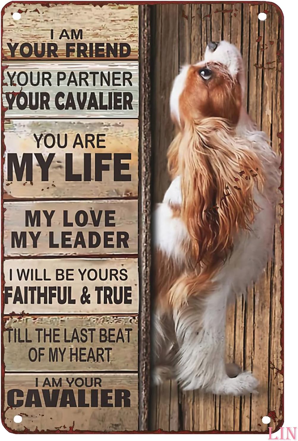 Amazon.com: Funny Metal Signs Decor Cavalier King Charles I am Your ...