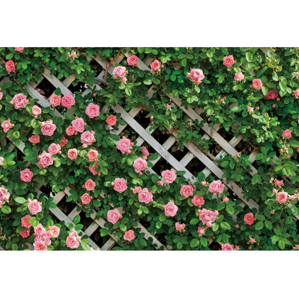 Buy LFEEY 10x8ft Vinyl Floral Backdrops For Photography Pink Flowers buy-lfeey-10x8ft-vinyl-floral-backdrops-for-photography-pink-flowers