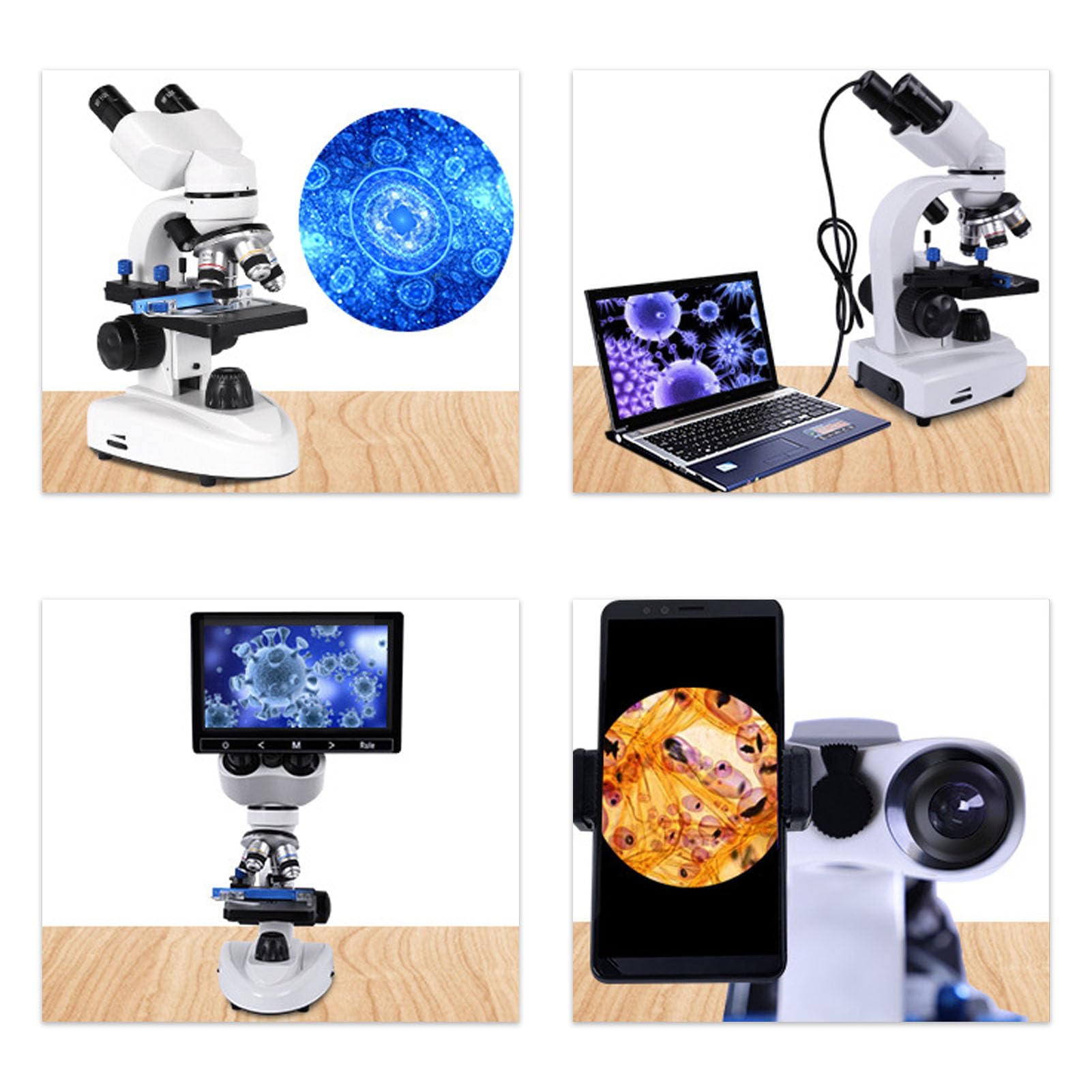 Snapklik.com : Microscope For Adults, 40X3000X 360 Rotation Binocular ...