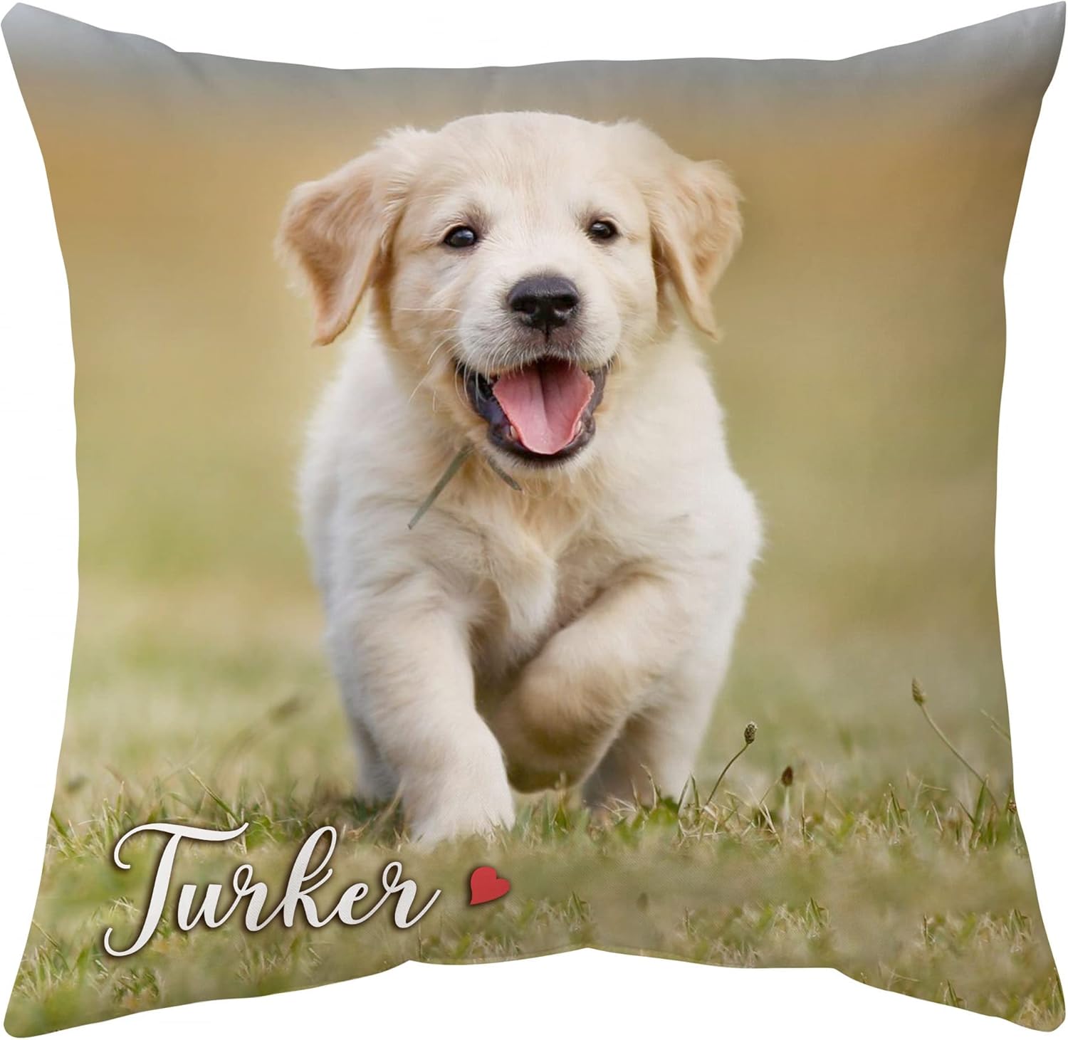 Amazon.com: Hyturtle Personalized Pet Pillow with Insert 12"x12" Double ...