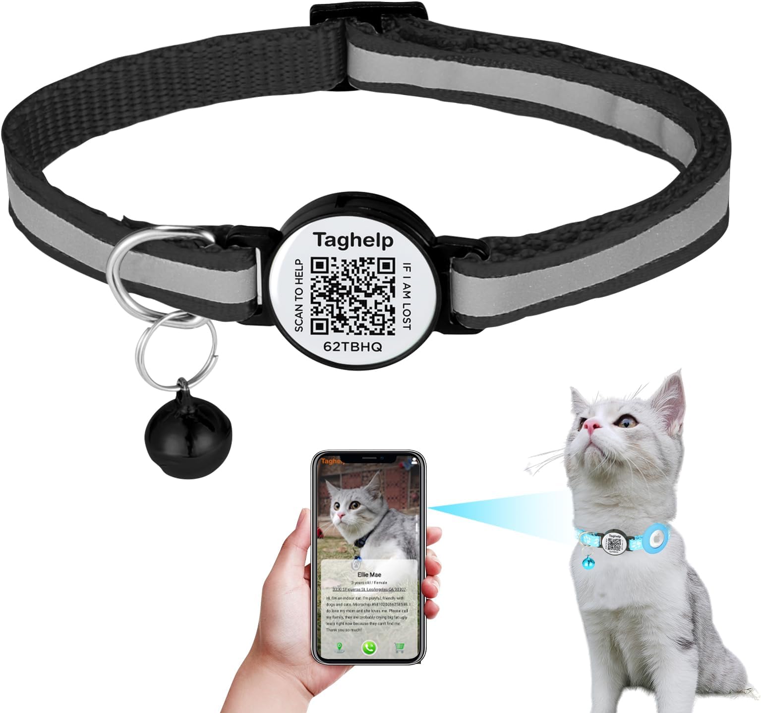 Pet Supplies : Reflective Kitten Collars with Bell,Cat Collar Breakaway ...