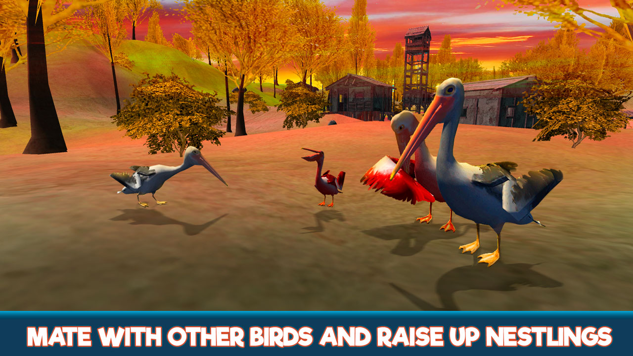 Pelican Bird Life Simulator 3D - App on Amazon Appstore